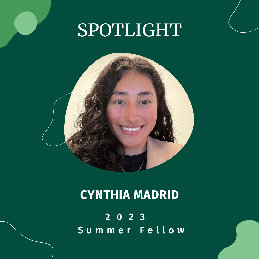 Meet Our Summers: Cynthia Madrid - Cullen and Dykman LLP