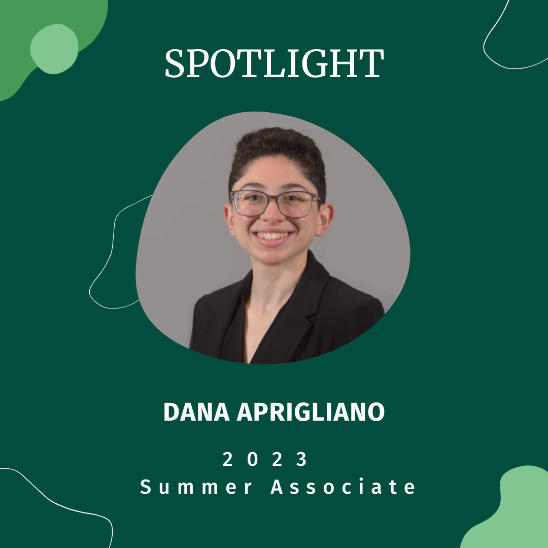 Meet Our Summers: Dana Aprigliano - Cullen and Dykman LLP